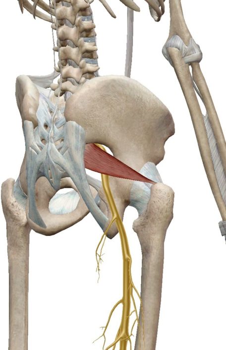 Dor na Anca: causas, sintomas e remédios - Sebastian Guzzetti